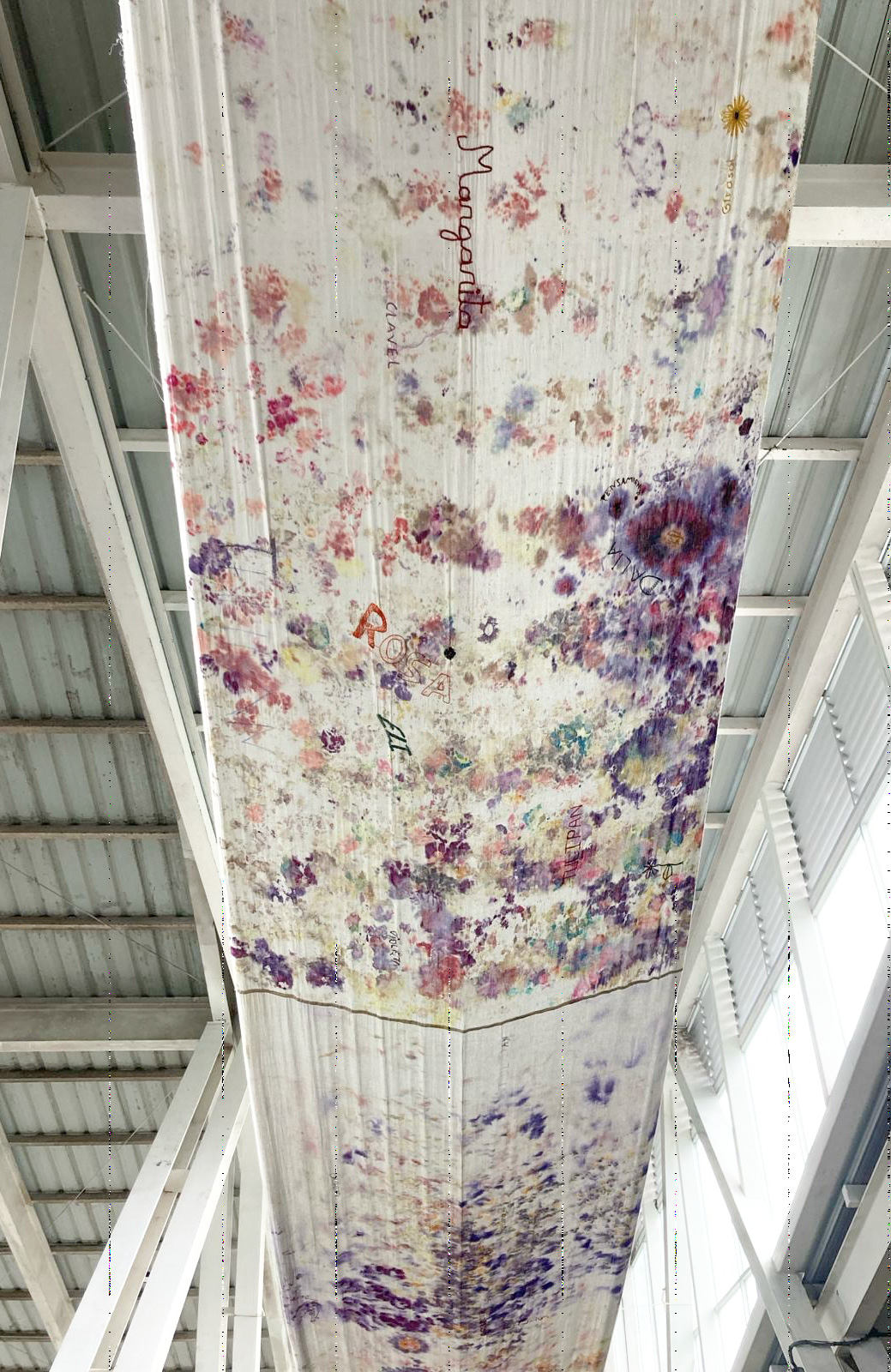 Palabras del Amazonas - Clémence Vazard