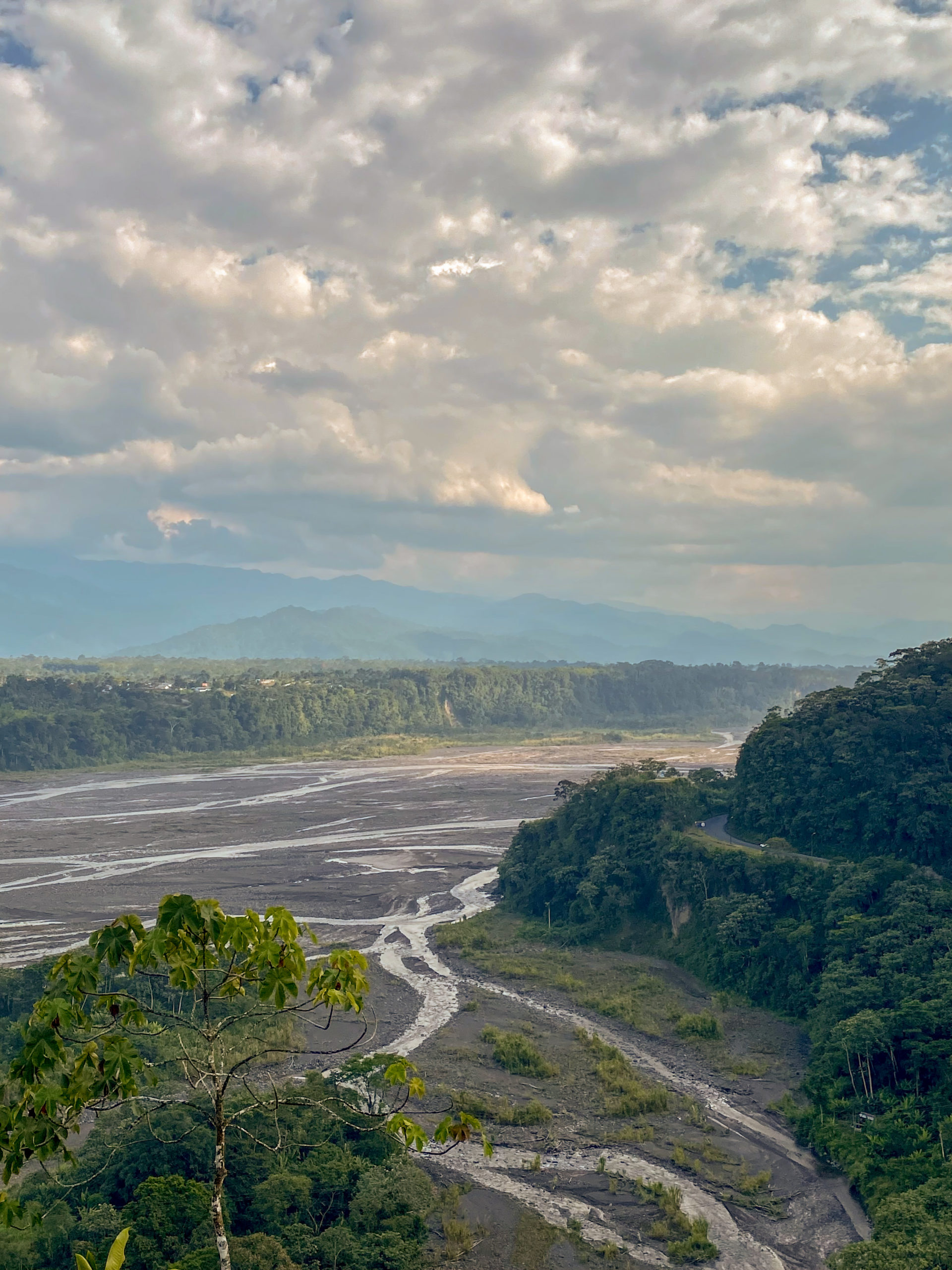 Palabras del Amazonas - Clémence Vazard