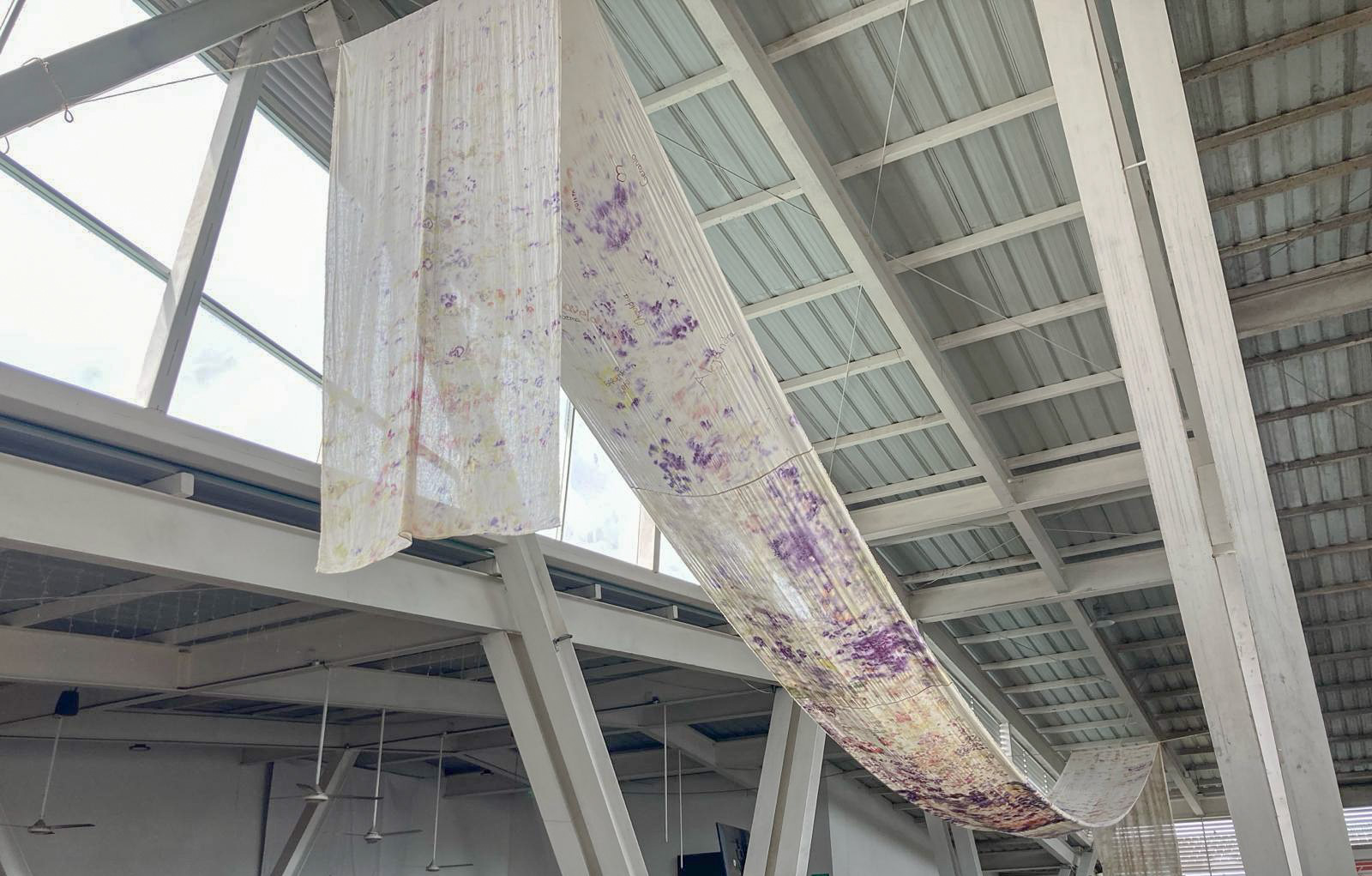 Palabras del Amazonas - Clémence Vazard