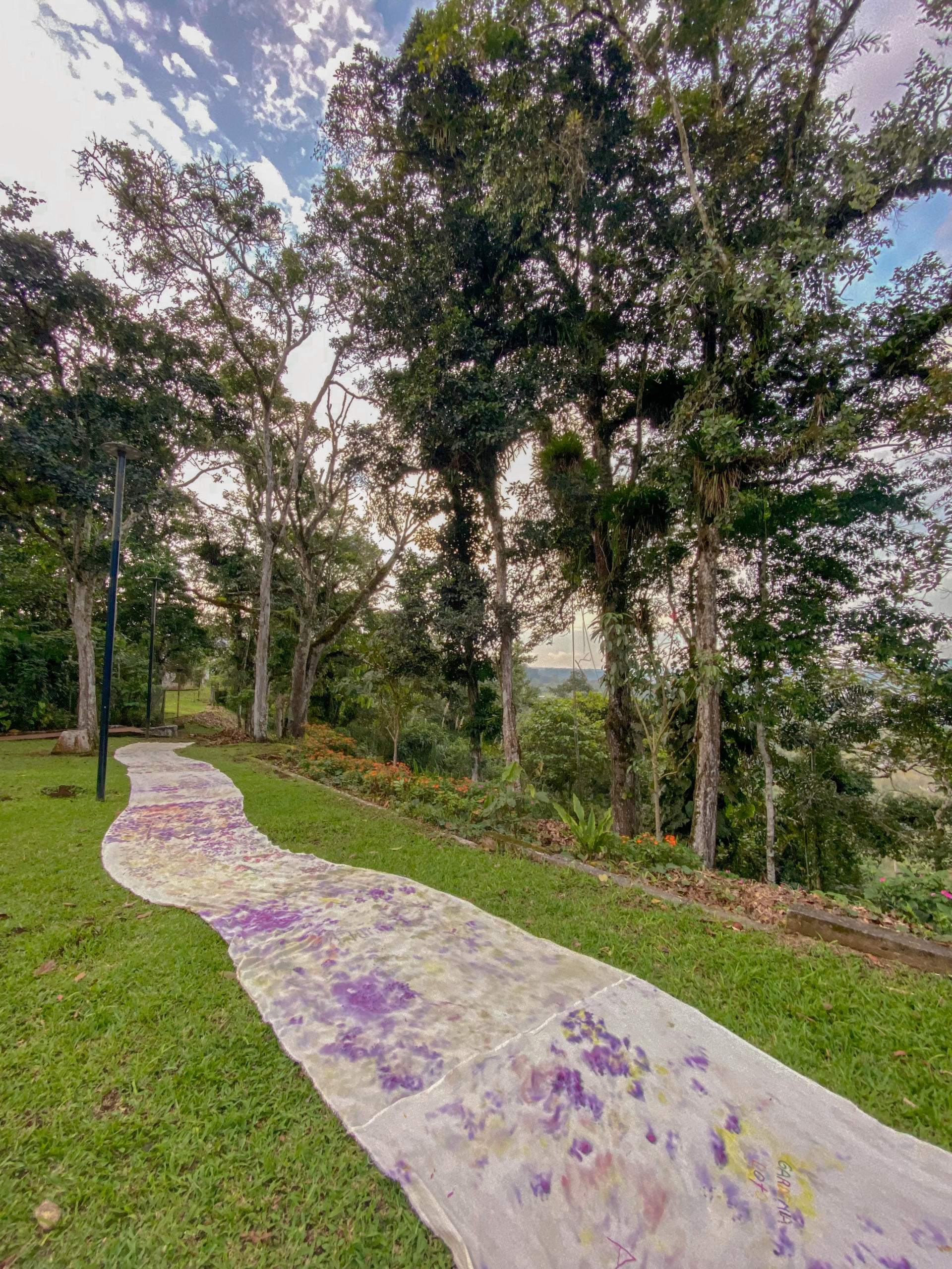 Palabras del Amazonas - Clémence Vazard