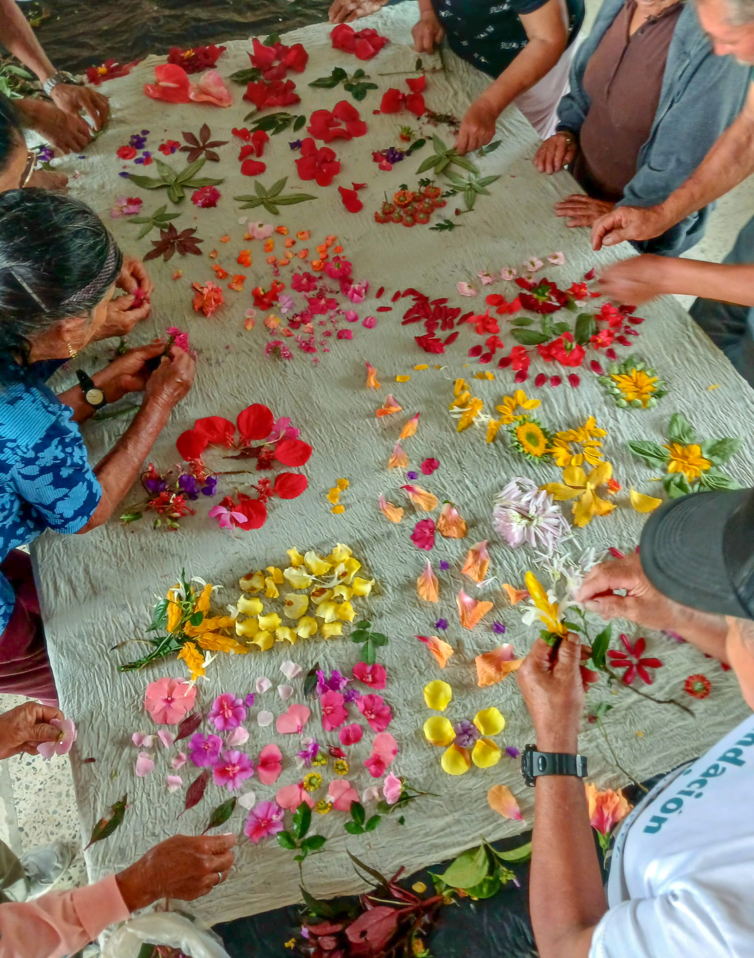 Palabras del Amazonas - Clémence Vazard
